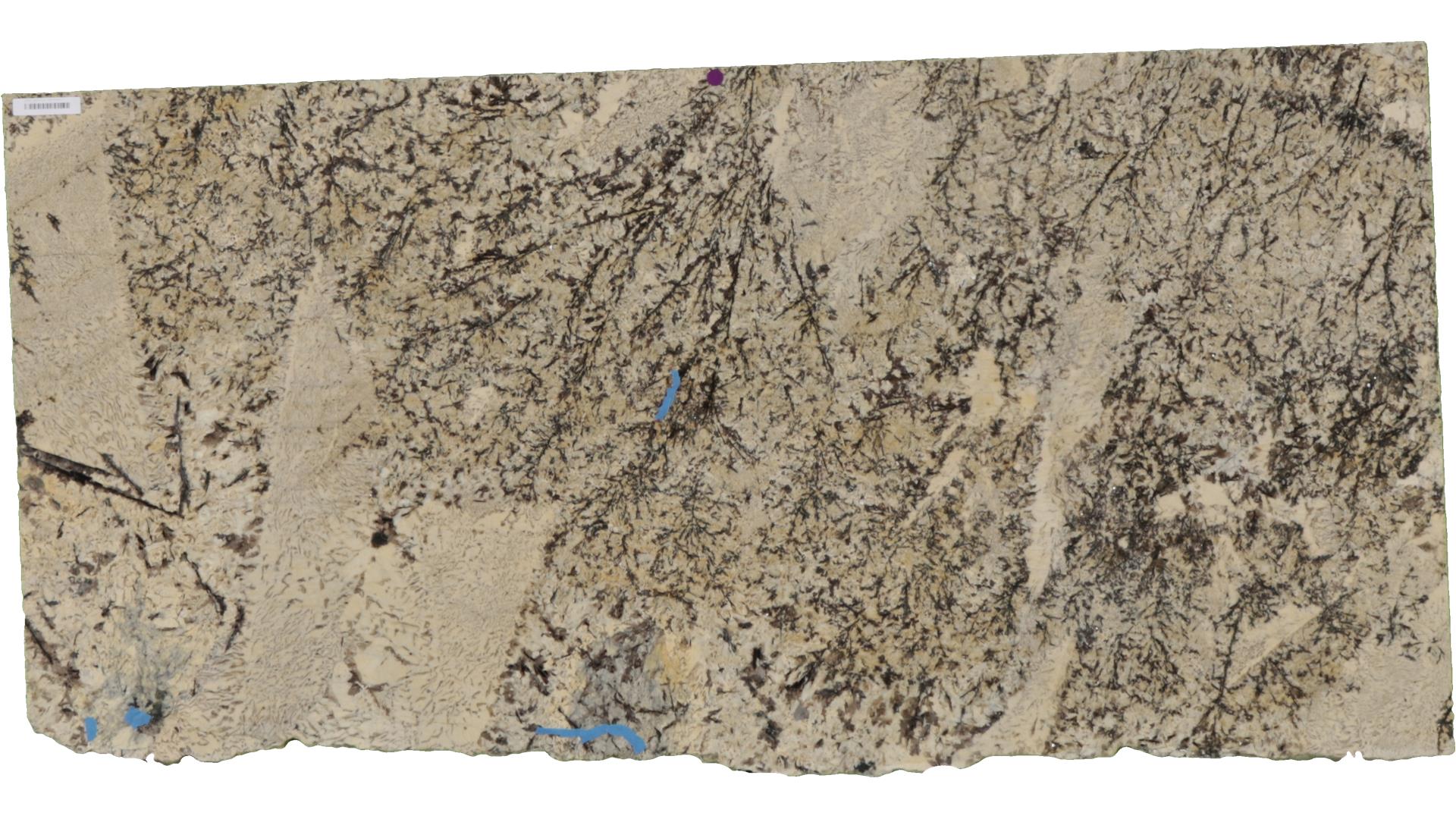 Splendor Cream Granite Countertops Springfield, IL